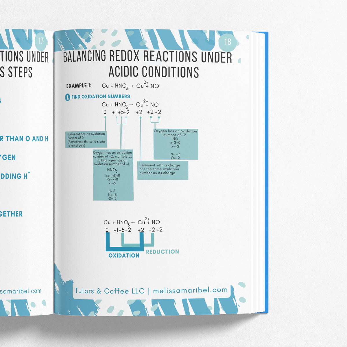 The Complete Chemistry Guide to Redox Reactions (ebook) – Melissa Maribel